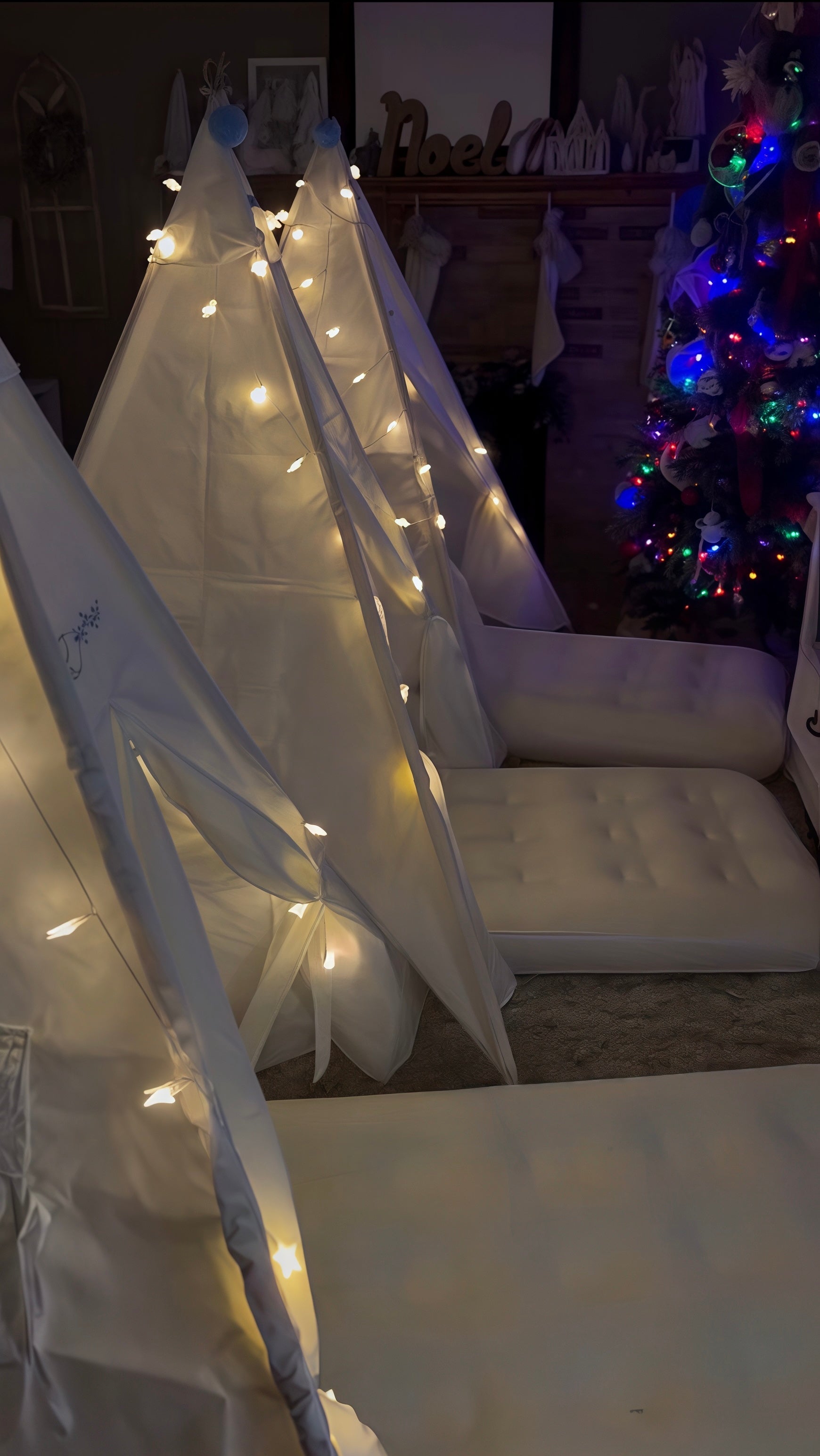 Why Do Kids Love Dome Kids Tents?